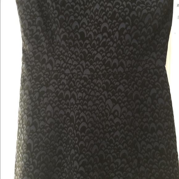 Zara | Other | Zara Navy And Black Dress | Poshmark